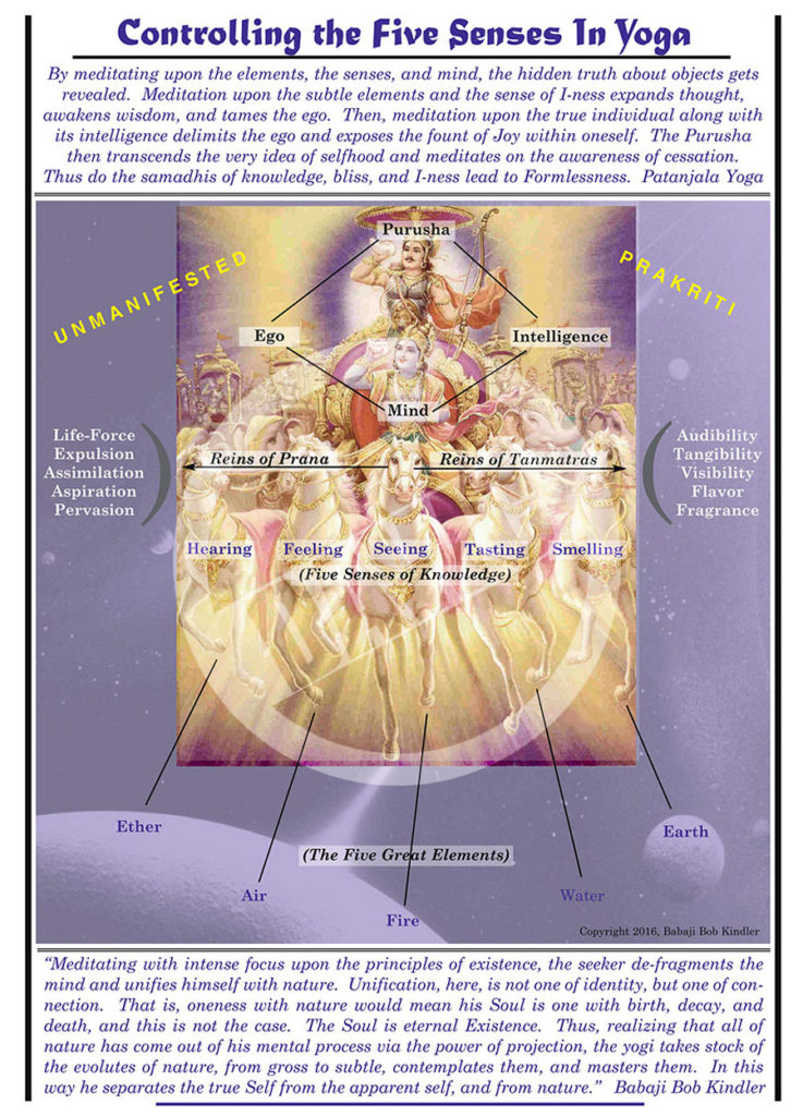 Controlling the Five Senses in Yoga #7 – Dharma Art Wisdom Charts