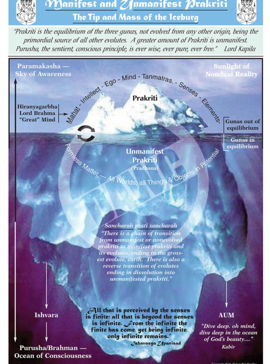 Shop – Dharma Art Wisdom Charts