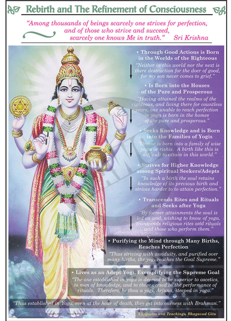 Reincarnation, Rebirth & Embodiment – Dharma Art Wisdom Charts