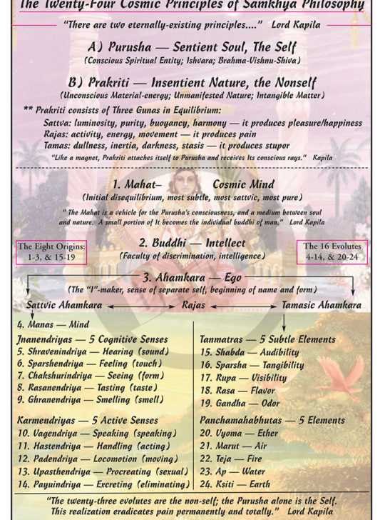 Chart Categories – Dharma Art Wisdom Charts