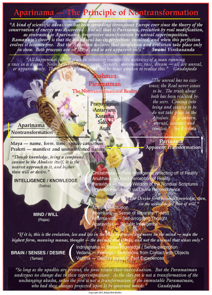 Transformation & Nontransformation – Dharma Art Wisdom Charts