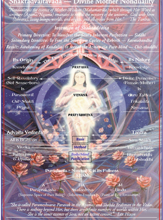 Chart Categories – Dharma Art Wisdom Charts