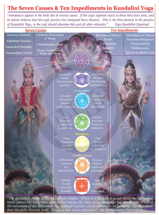 Chart Categories – Dharma Art Wisdom Charts