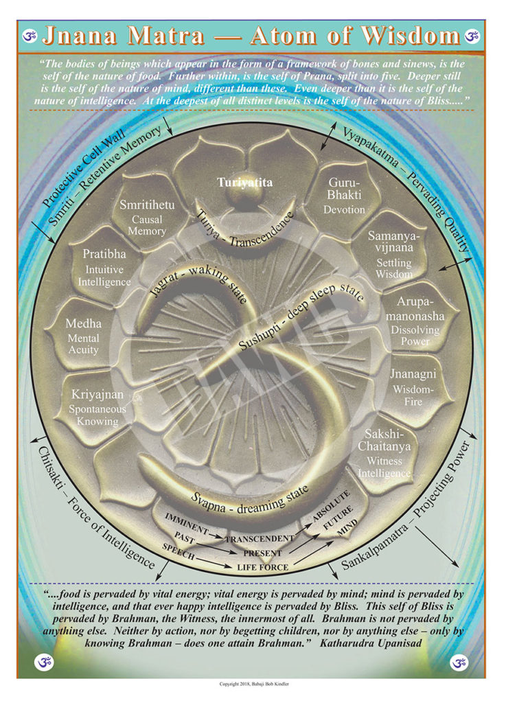 Jnanamatra, The Atom of Wisdom #227 – Dharma Art Wisdom Charts