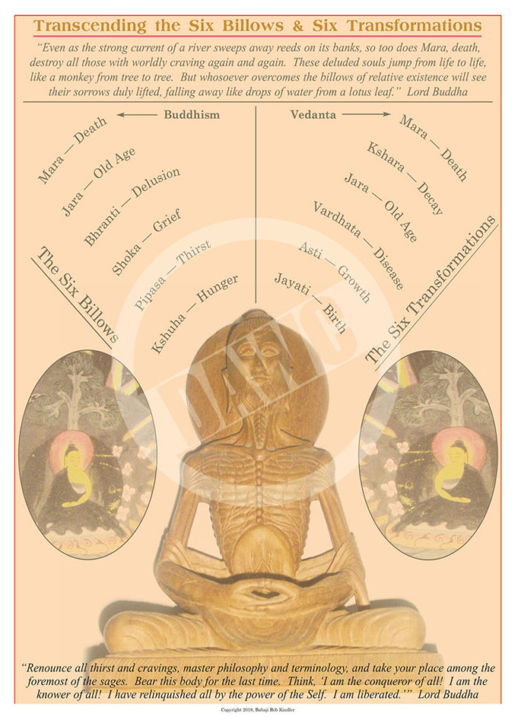Buddhism & Jainism – Page 2 – Dharma Art Wisdom Charts