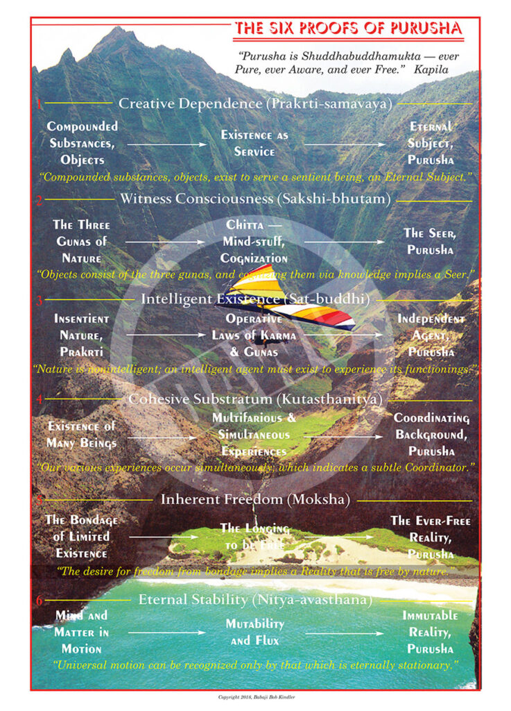 6 Proofs of the Purusha #213 – Dharma Art Wisdom Charts